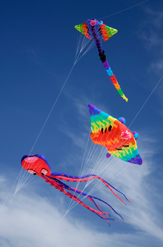 If You Love a Good Kite Festival, Thank the Twidwells - ABC Home ...