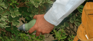 How Does Pesticide Work? What Homeowners Should Know | ABC Blog