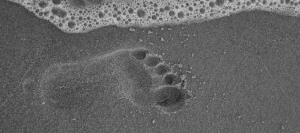 Beach Bugs That Bite: Protecting Yourself From These Pests