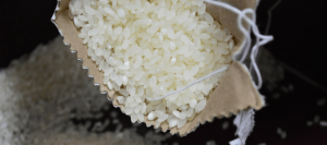 Grain Mite: Is That What's In My Pantry? | ABC Blog