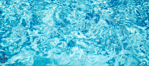 Tiny Bugs in Pool: What Are They And What Can I Do? | ABC Blog
