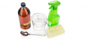 How To Get Rid Of Springtails: Handling A Springtail Infestation | ABC Blog