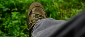 Black Fly: Treating And Preventing Painful Bites | ABC Blog