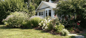 Midges In Florida: A Nuisance Or A Larger Problem? | ABC Blog