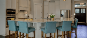 How To Identify Different Types of Mice | ABC Blog