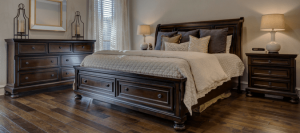 Do Mice Carry Rabies? | ABC Blog