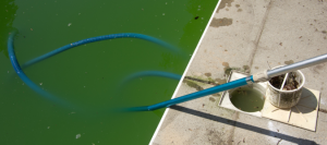How To Get Rid of Algae in Your Pool | ABC Blog
