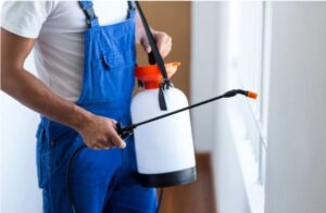 ABC Pest Control Of Houston | Houston, TX